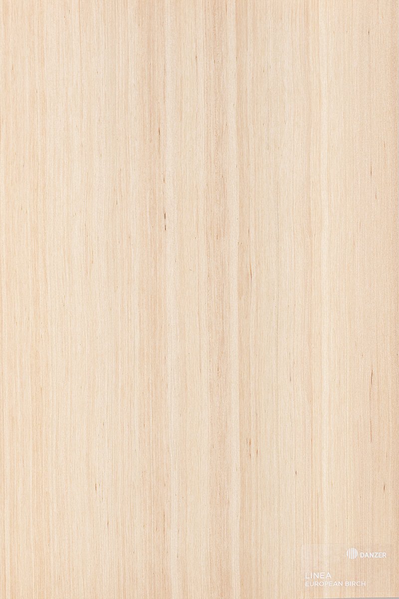 Linea Danzer - Contact